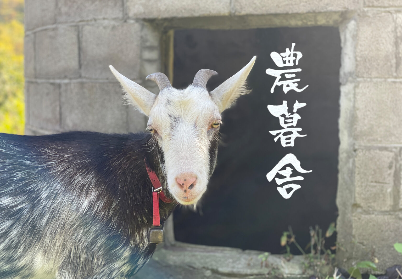 Hi-MAG｜日高エリアのウェブマガジン