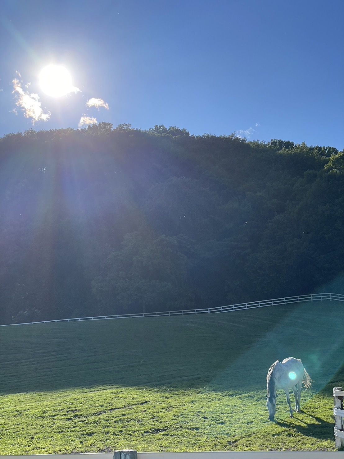 Hi-MAG｜日高エリアのウェブマガジン