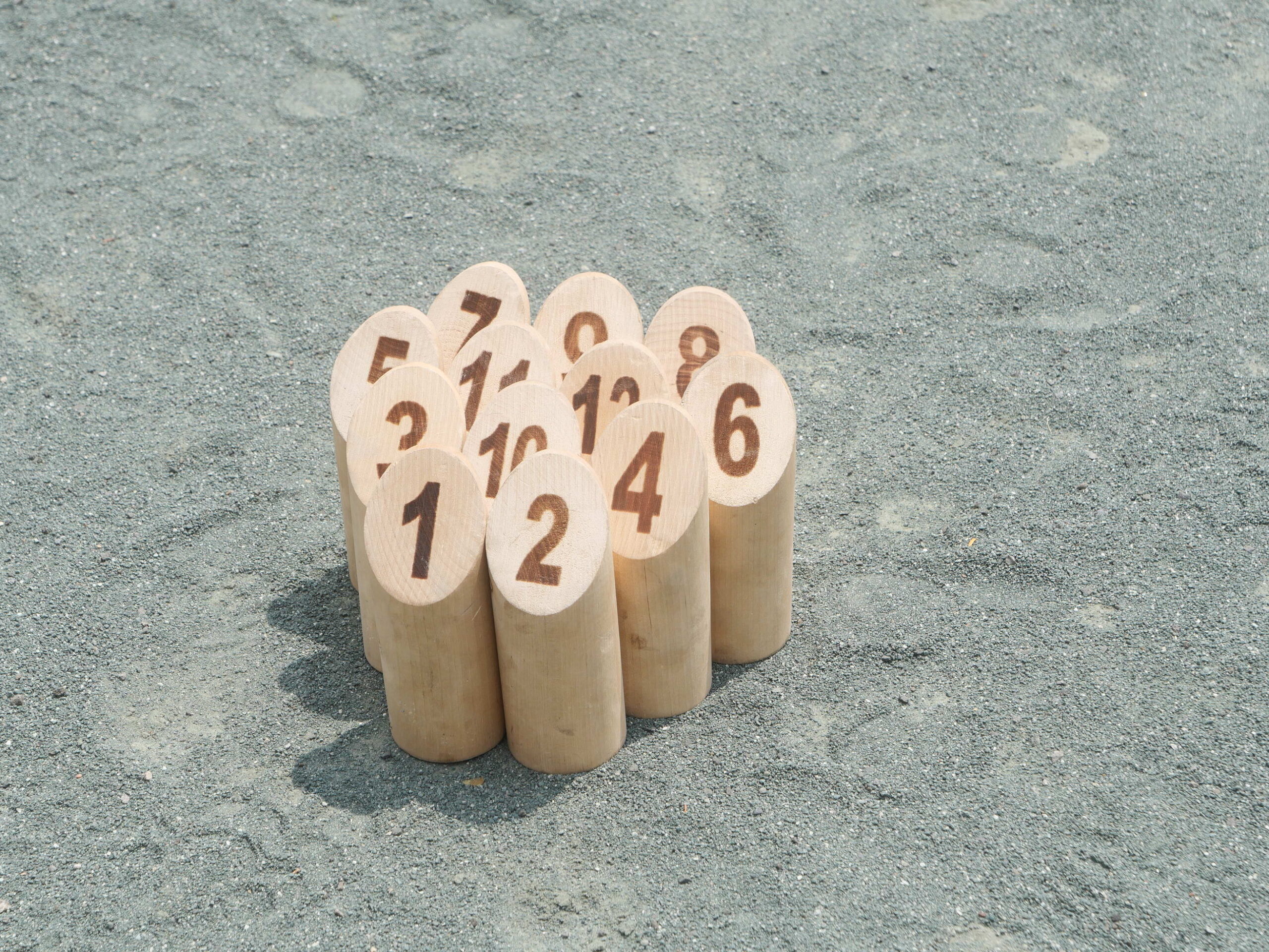 Hi-MAG モルック大会参戦記｜日高エリアのウェブマガジン